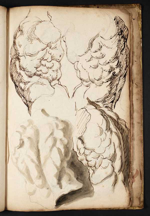 ‘Four Studies of the Belvedere Torso‘, Joseph Highmore | Tate