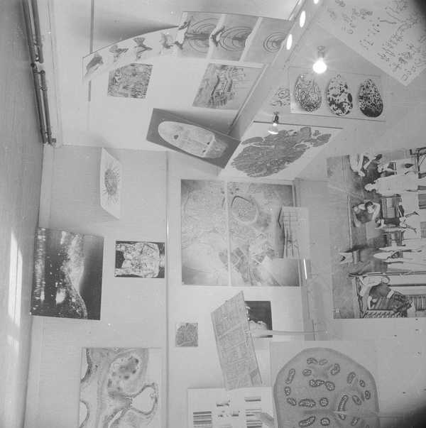 Photograph of installation view of Parallel of Life and Art exhibition ...