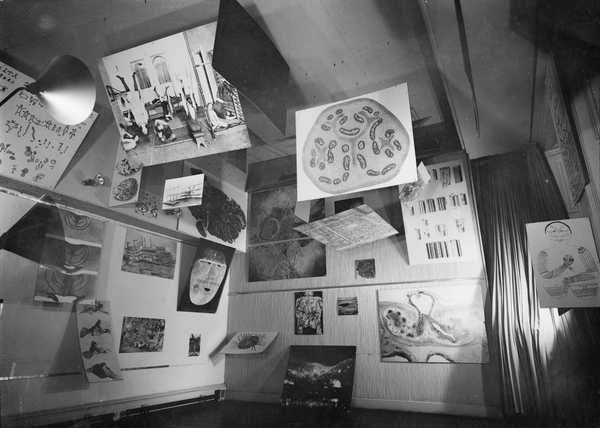 Photograph of installation view of Parallel of Life and Art exhibition ...
