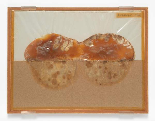 Dieter Roth 1930–1998 | Tate