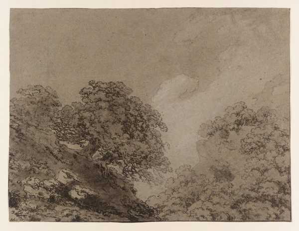 ‘Study of Trees‘, John Robert Cozens, 1789 | Tate