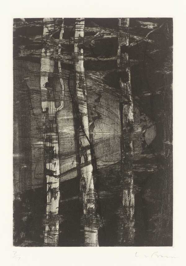‘Fifty Etchings‘, Sir Christopher Le Brun PRA, 1990 | Tate