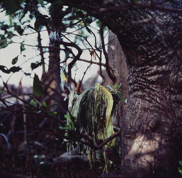 ‘Channel #26‘, Simryn Gill, 2014 | Tate