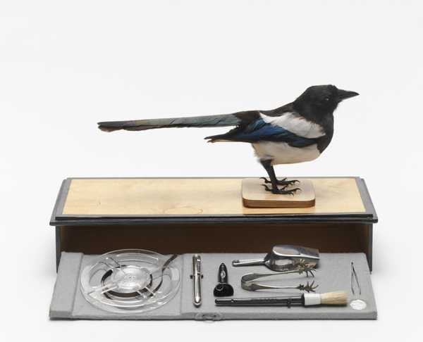‘The Magpie’s Box‘, Rose Finn-Kelcey, 1977 | Tate