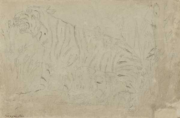 Drawing of a tiger‘, David Jones, [c.1902–3]‘, David Jones, [c.1902–3 ...