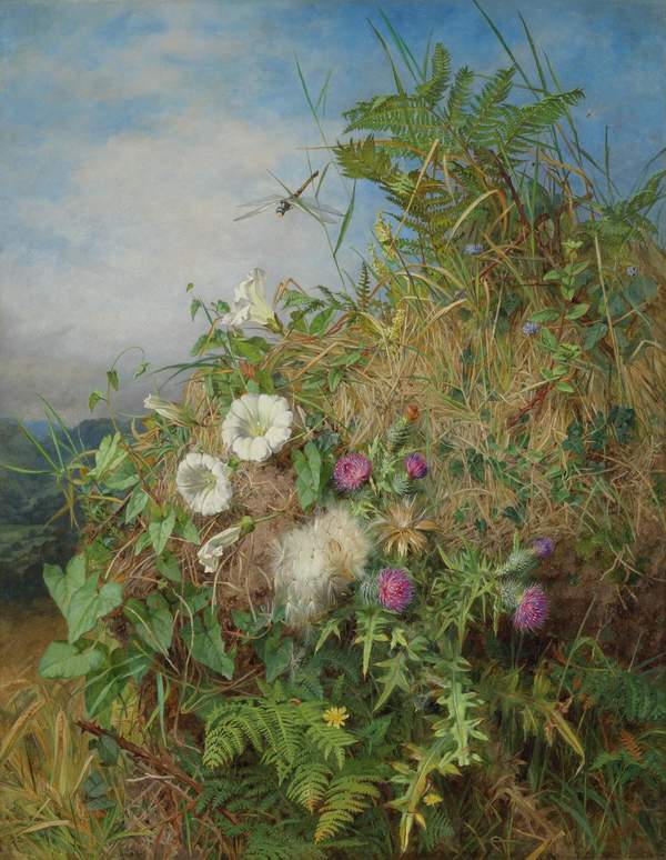 ‘Wild Flowers at the Corner of a Cornfield‘, Martha Darley Mutrie, c ...
