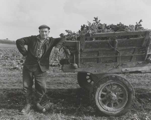 ‘Robert ‘Rob’ Lowey, Ballanorris Farm, Arbory‘, Chris Killip, 1970–3 ...
