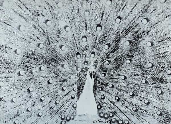 ‘Power and Beauty No. 7‘, Colin Self, 1968 | Tate