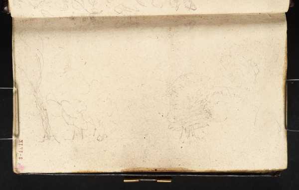 ‘Trees in a Park‘, Joseph Mallord William Turner, c.1799 | Tate