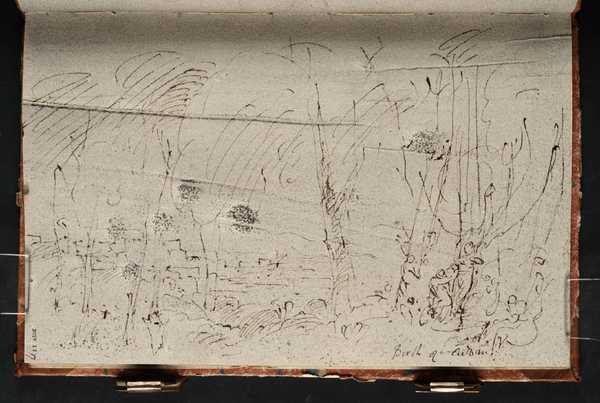 ‘The ‘Birth of Adonis’‘, Joseph Mallord William Turner, 1805 | Tate