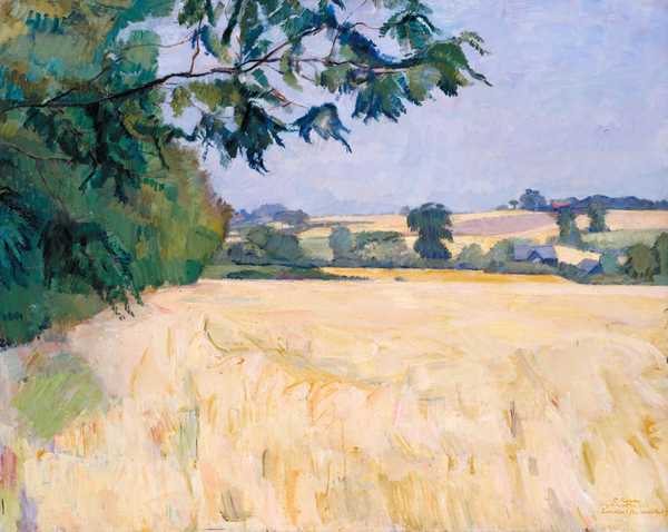 ‘Cornfields at Somerton‘, Claude Rogers, 1961 | Tate