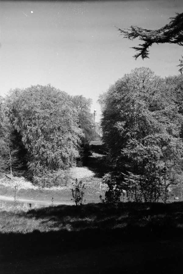 Photograph of Cobham Pillar in Stowe, Buckinghamshire‘, John Piper, [c ...