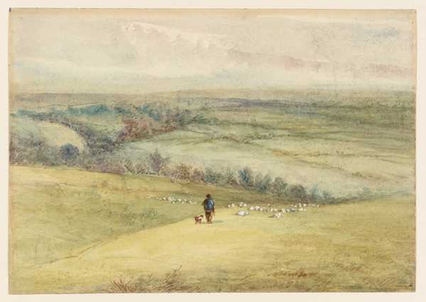 ‘A Shepherd on the Downs‘, John William Inchbold | Tate