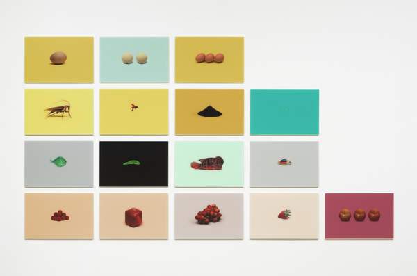 Robert Zhao Renhui born 1983 | Tate