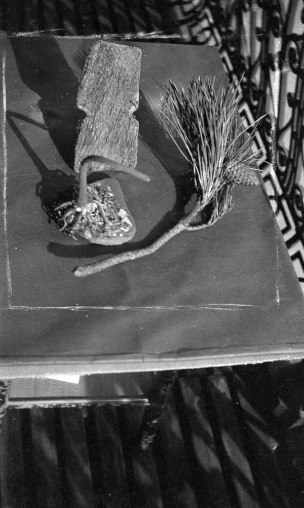 Black and white negative, still life‘, Paul Nash, [c.1935–6]‘, Paul ...