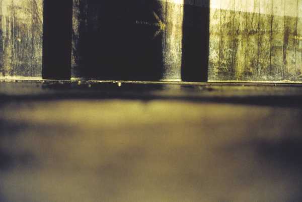 Richard Billingham born 1970 | Tate