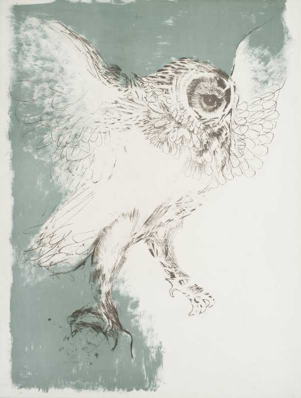 ‘Owl‘, Dame Elisabeth Frink, 1967 | Tate