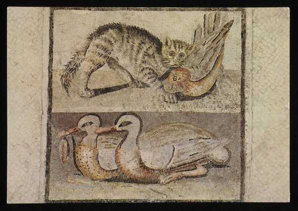 Godfrey Samuel 1896–1996 | Tate