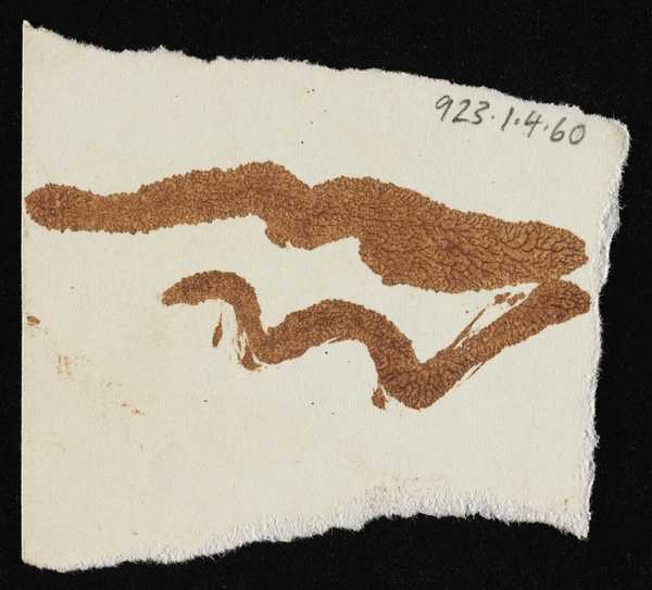 Printmaking experiment‘, Cecil Collins‘, Cecil Collins – Tate Archive ...