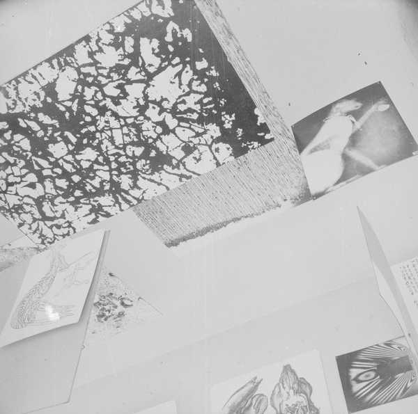 Photograph of installation view of Parallel of Life and Art exhibition ...