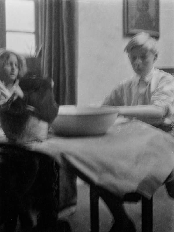 Black and white negative of Elizabeth and Valerian Wellesley seated at ...