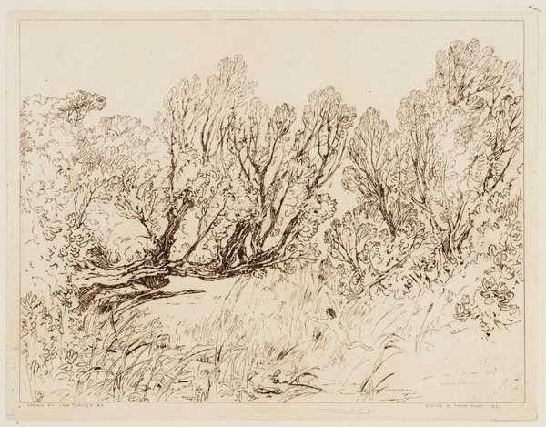 ‘Pan and Syrinx‘, Sir Frank Short, 1896 | Tate