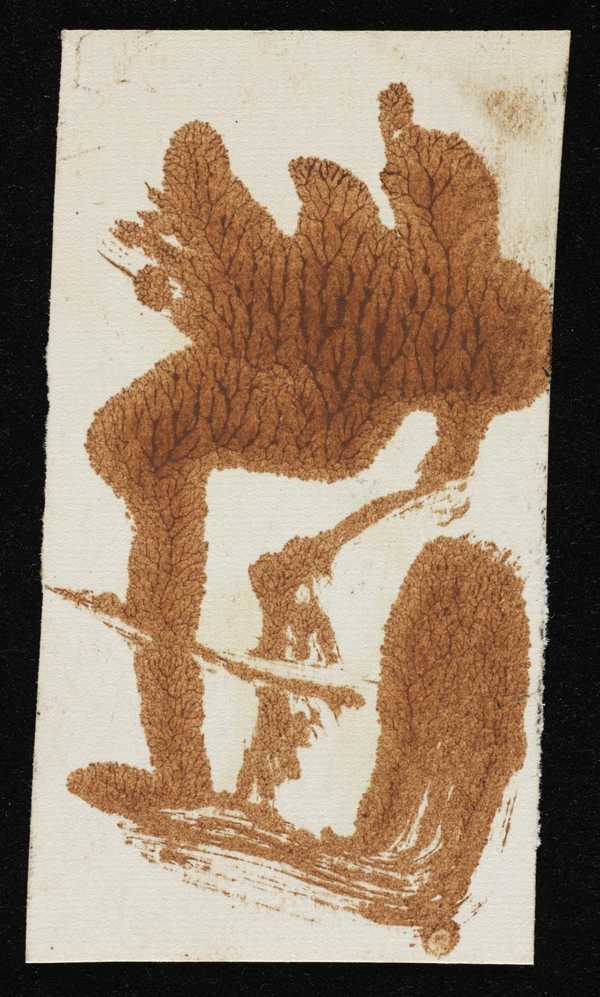 Printmaking experiment‘, Cecil Collins‘, Cecil Collins – Tate Archive ...