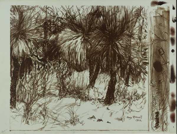 ‘Forest‘, Lady Mary Rennell, 1972 | Tate