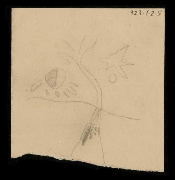 Drawing, with a tree and star, by Cecil Collins‘, Cecil Collins‘, Cecil ...