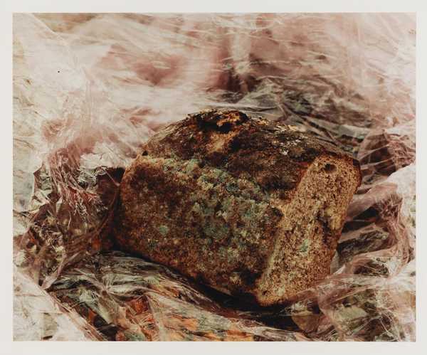 ‘Pictures from a Rubbish Tip‘, Keith Arnatt, 1988–9 | Tate