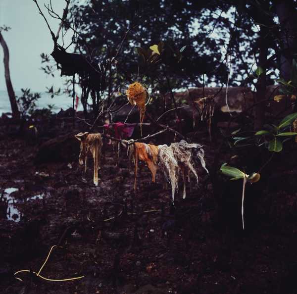 Simryn Gill born 1959 | Tate