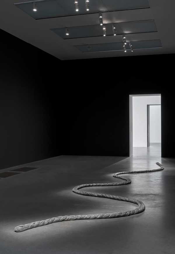 ‘Braid‘, Tunga, c.1983 | Tate