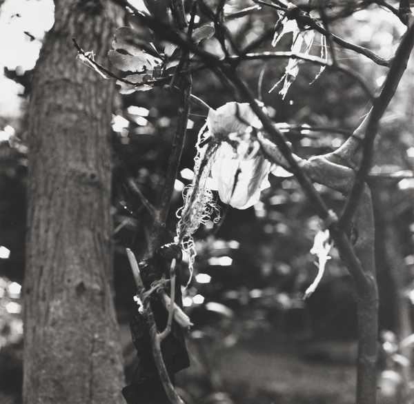 ‘Channel #8‘, Simryn Gill, 2014 | Tate