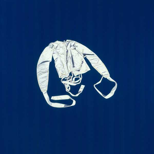 ‘Restraining Jacket (Male)‘, Julie Roberts, 1995 | Tate