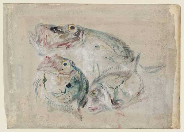 ‘Study of Fish‘, Joseph Mallord William Turner, c.1844–5 | Tate