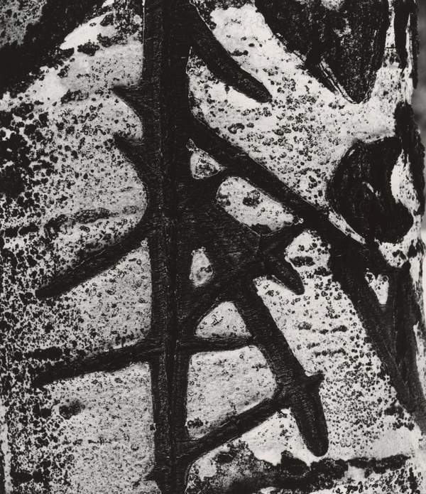 ‘Tree Bark‘, Brett Weston, 1969 | Tate