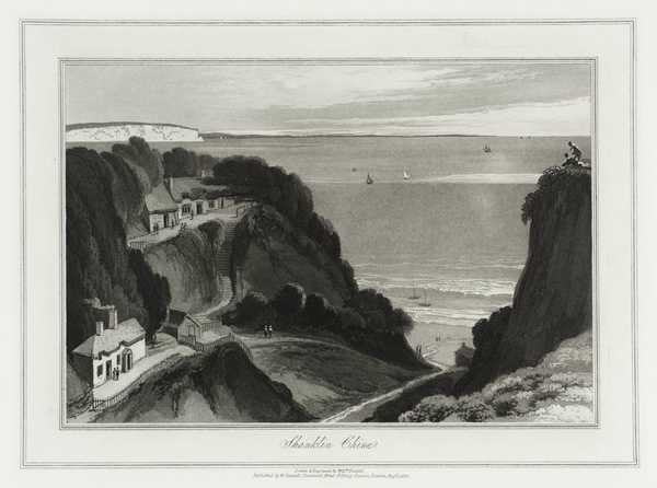 ‘Shanklin Chine‘, William Daniell | Tate