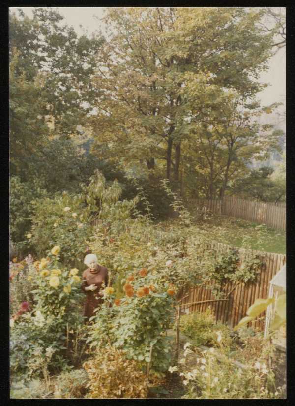 Photograph of Marie-Louise von Motesiczky in the garden of 6 ...