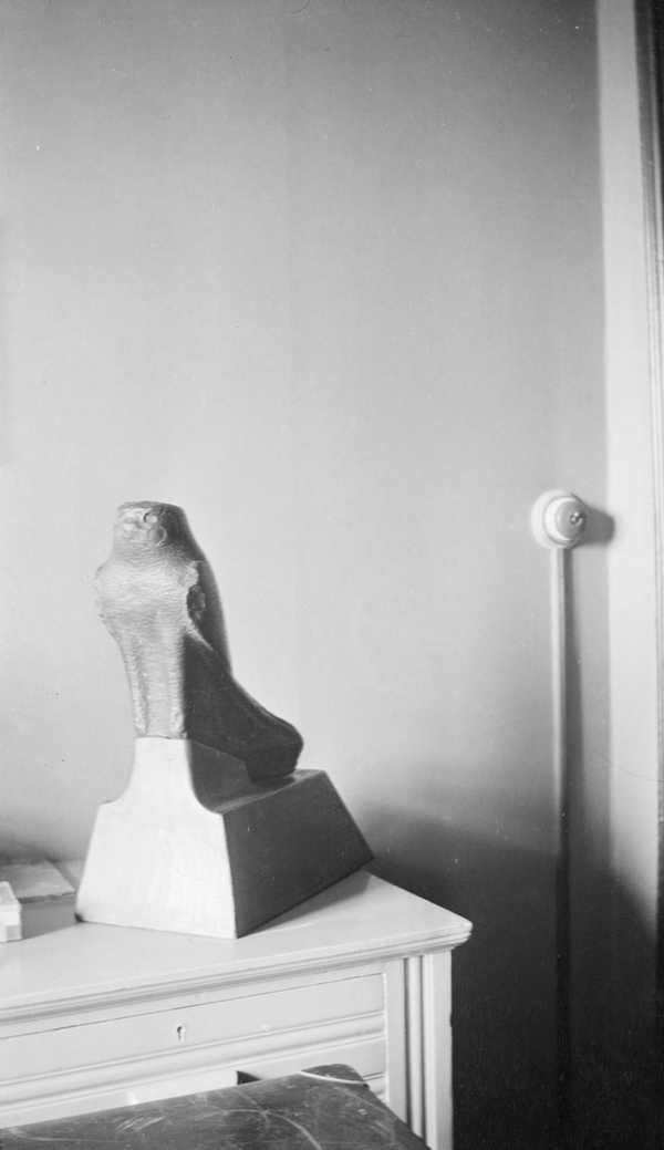 Black and white negative, Egyptian hawk, Langley‘, Paul Nash‘, Paul ...