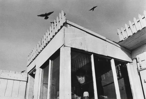 ‘Old Kitt, St Peter’s Allotments (Byker)‘, Sirkka-Liisa Konttinen, 1973 ...