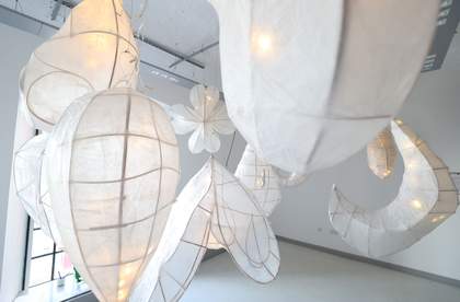 Novus and Tate Family Learning Programme | Tate Liverpool