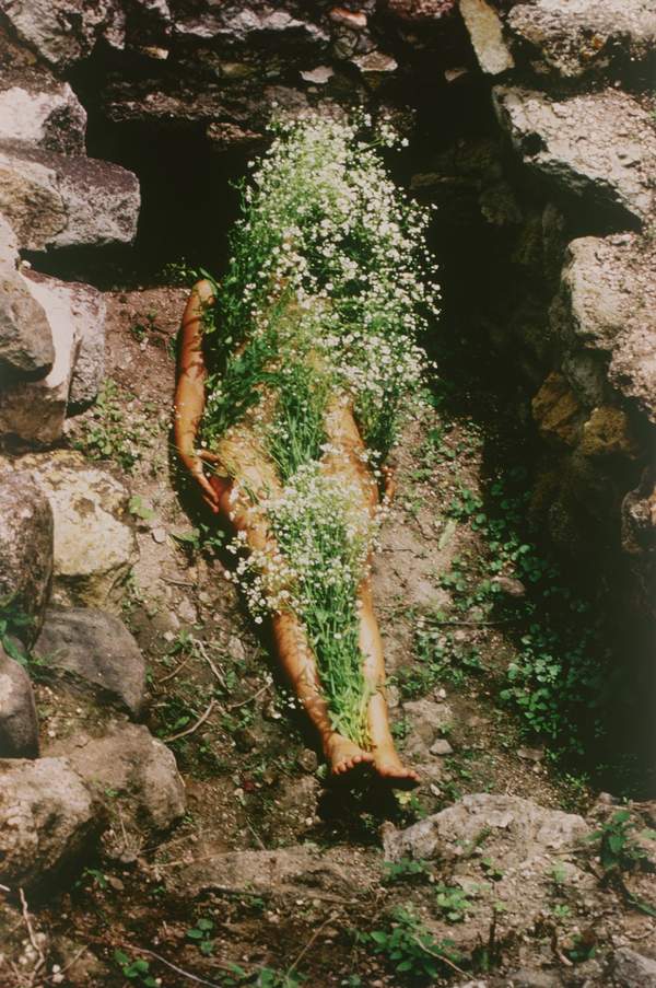 Ana Mendieta | Tate Modern