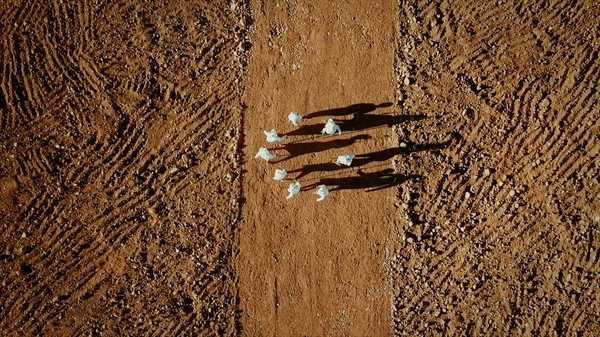 A Clearing in the Forest – Display at Tate Modern | Tate