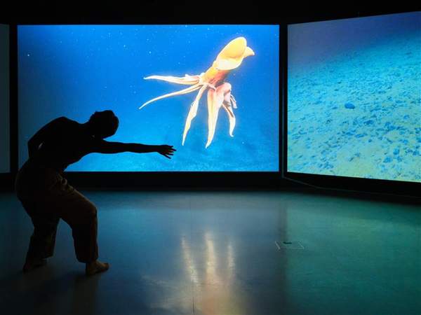 Emma Critchley: Soundings Performance | Tate St Ives