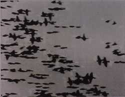 Art Now: Michal Rovner | Tate Britain