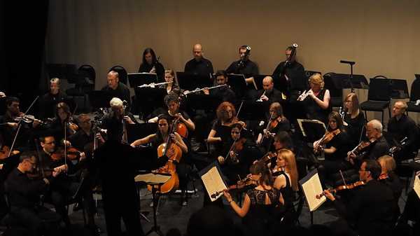 Live Music Performance: Liverpool Mozart Orchestra | Tate Liverpool ...
