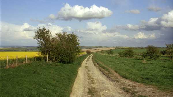 Artist’s talk: Patrick Keiller | Tate Britain