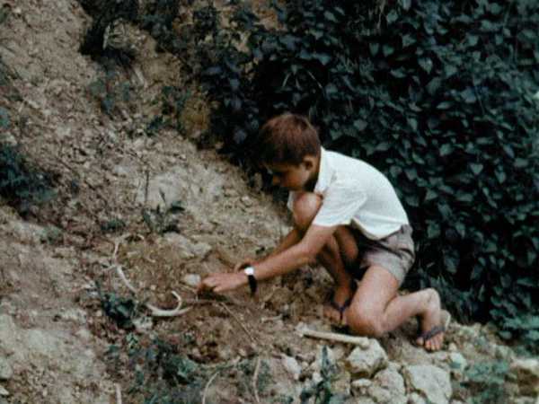 The Films of Peter Nestler | Tate Modern