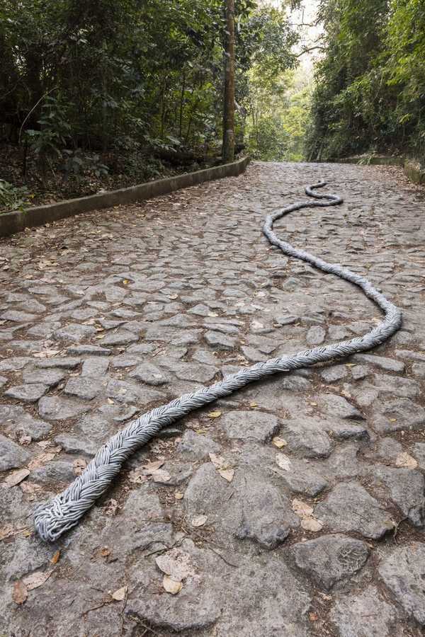 Tunga – Display at Tate Modern | Tate