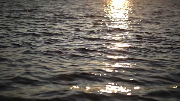 Michael Snow: Waivelength | Tate Modern